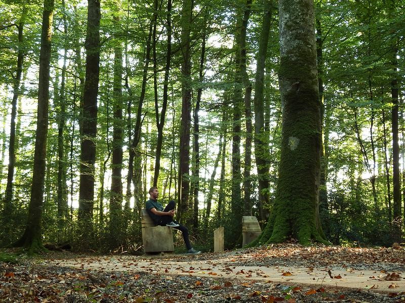 Sentier de la Futaie des Clos en forêt de Bercé - Activhandi